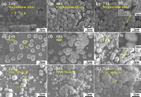 The Microstructure Of The Sample Surface After Salt Spray Test At