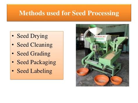 Seed Processing And Storage