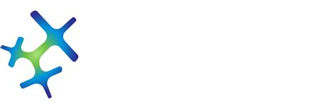 Aimms Life And Team Aimms