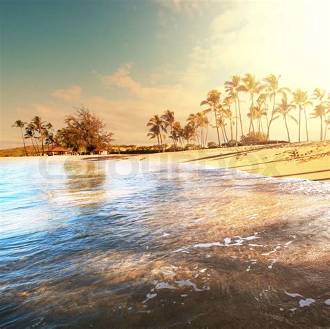 Tropical Beach Stock Image Colourbox
