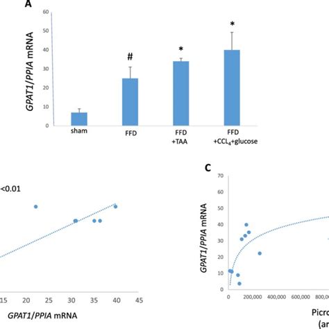 Functional Transcriptomic Analysis A Hepatic Gpat1 Mrna Expression