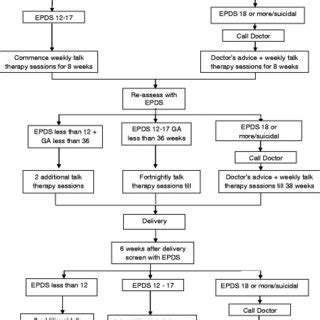Treatment Flow Chart Download Scientific Diagram