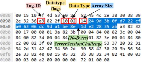 S7 Challenge Packet Serversessionchallenge Array Download Scientific Diagram