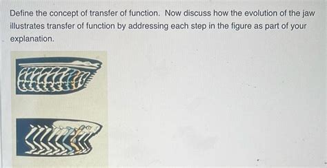 [answered] define the concept of transfer of function now discuss how