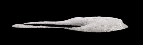 비누 또는 샴푸 또는 샤워 젤에서 액체 흰색 거품 추상적인 거품 검은 배경에 고립 된 0명에 대한 스톡 사진 및 기타 이미지 0명 개체 그룹 거품 내기 Istock