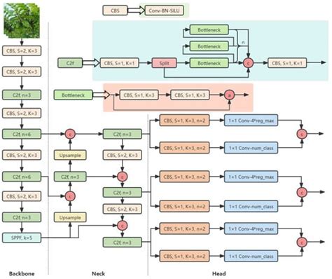 Two Stage Detection Algorithm For Plum Leaf Disease And Severity Assessment Based On Deep Learning