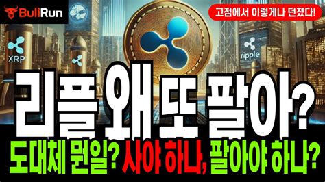 리플 전망 🚀 Xrp 코인 전략 엑스알피 왜 또 팔아 이렇게나⚡ 리플 도대체 뭔일 사야 하나 팔아야 하나 🚨