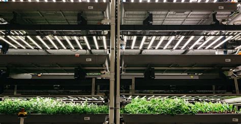 Cosè Una Fabbrica Di Piante