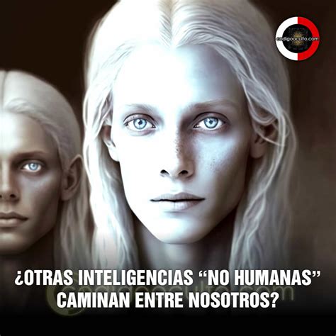 Numerosas Investigaciones Exponen Que Inteligencias Distintas A La Humana Podrían Estar