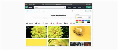 Color Recognition Extract Dominant Colors From Any Image Automatically — Uploadcare Blog