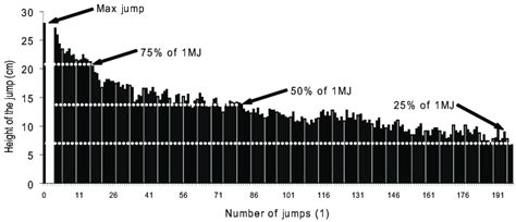 A Schematic Representation Of The Test Execution Subjects Performed