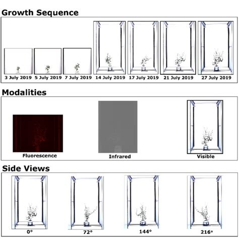A Preview Of A Vstem Dataset This Work Will Use The Cosegpp Dataset Download Scientific