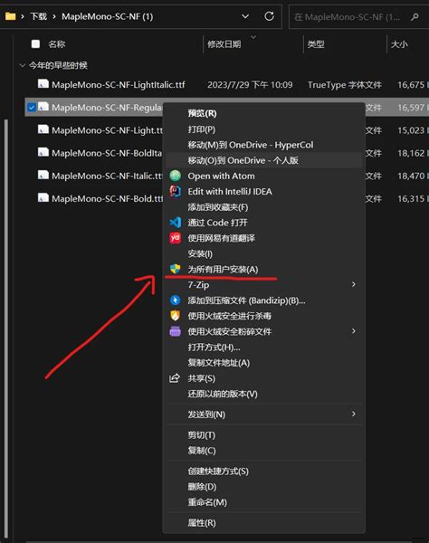 在idea与vscode中通过中英文字体混搭实现文字对齐（jetbrains Mono Maple Mono） 哔哩哔哩