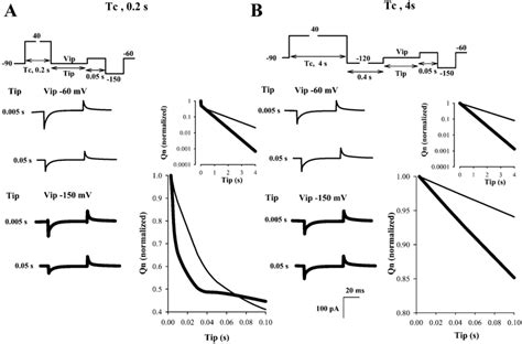 Simulated Recovery From Fast Or Slow VDI A Recovery From Fast VDI Download Scientific