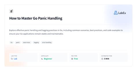 How To Master Go Panic Handling Labex