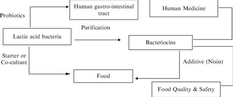 5 Overview Of Application Potential Of Bacteriocin Production By Lab In Download Scientific