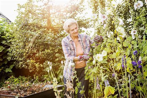 How To Get Rid Of Rust Fungus On Plants