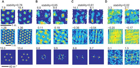 Examples Of Three Spatially Periodic A C And One Non Periodic Cell