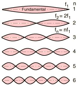 Solved Above Are Vibration Modes Of A String If The Chegg Com
