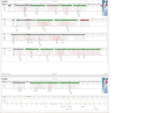 Examine Each Electropherogram For Artifacts And