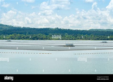 floating solar farm or floating photovoltaics solar power landscape