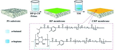 Schematic Of The Preparation Of The Crosslinked CHP Membrane Download Scientific Diagram