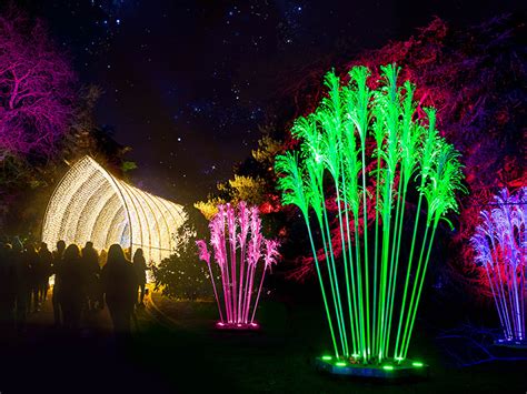 Market Update June 2023 Ian Reid Buyer And Vendor Advocates