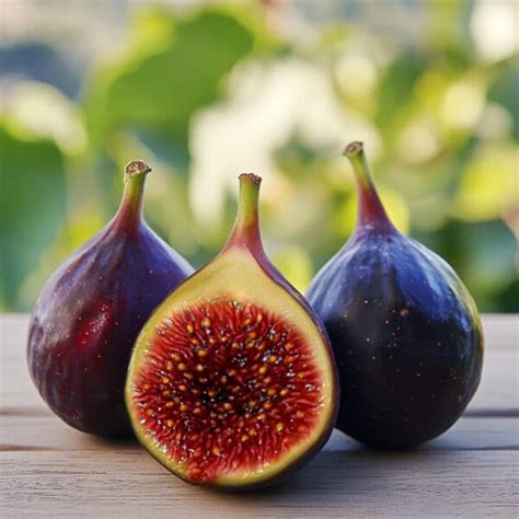 Raspberry Latte Fig Intense Berry Flavor