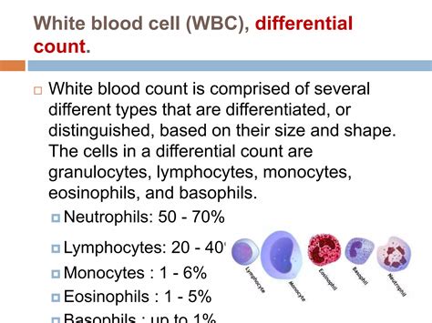 Interpretation Of Cbc Pptx
