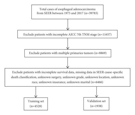 Flow Diagram Of Eac Patients With Training And Validation Cohorts