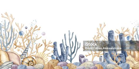 산호 해초 및 조개와 수중 이음매없는 경계 손으로 그린 수채화 그림은 배너 또는 벽지를 위해 흰색으로 격리된 배경에 그려져 있다