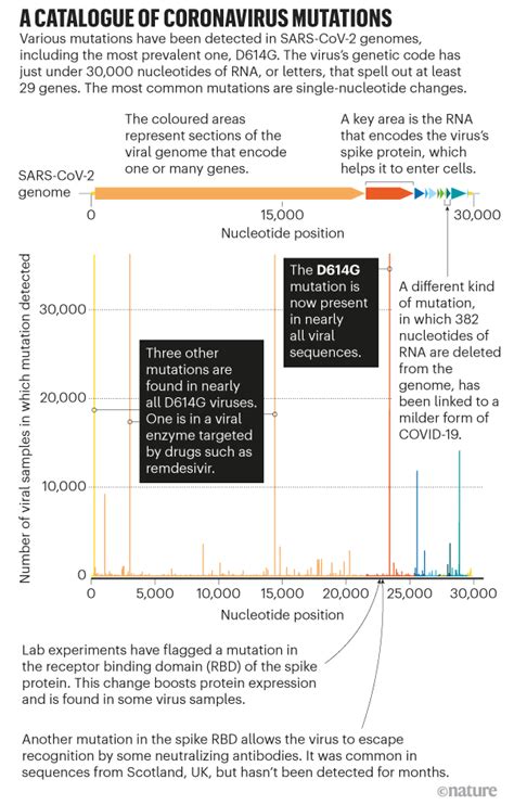 The Coronavirus Is Mutating — Does It Matter