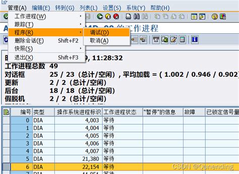 Sap Abap 基础 如何调试程序，debug模式下的一些按钮sap Debug教学 Csdn博客