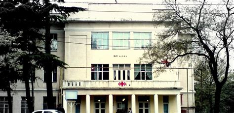 8 ა კლასი დამრიგებელი სოფო გამყრელიძე