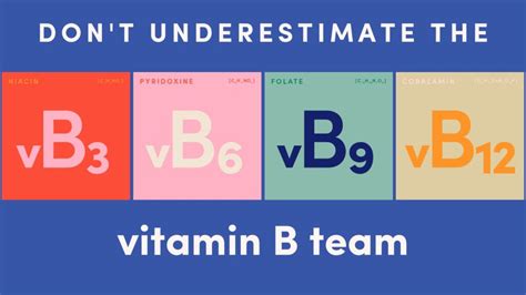Dont Underestimate The Vitamin B Team Cerebelly