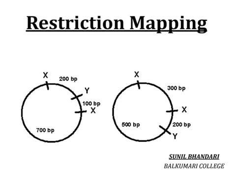 Restriction Mapping Pdf