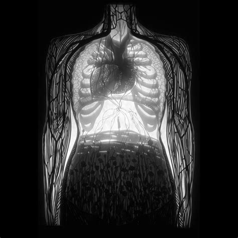 Veins Arteries Intestines Sex Neko Suicide