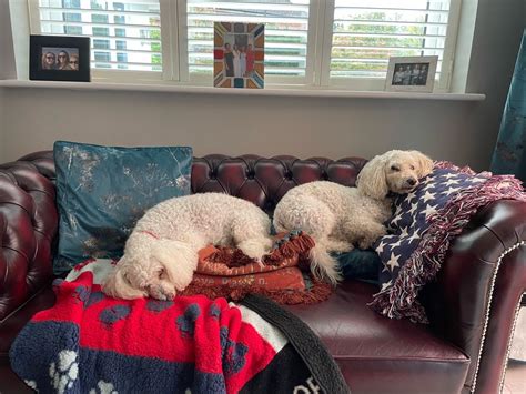 Kate Tickner On Linkedin Partners Decisionintelligence