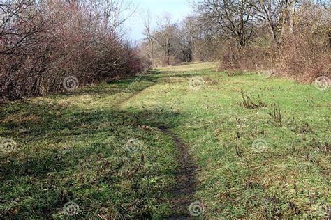 Uphill Trail Through Uncut Grass Surrounded With Winter Vegetation