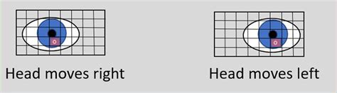 What Is Eye Tracking Fast Accurate Reliable Eye Tracking
