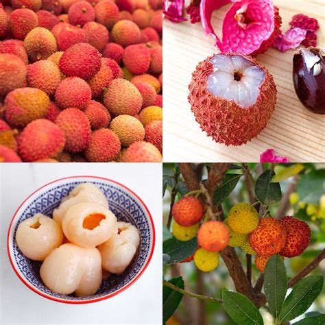 Apa Itu Leci Semua Yang Perlu Anda Ketahui Tentang Leci