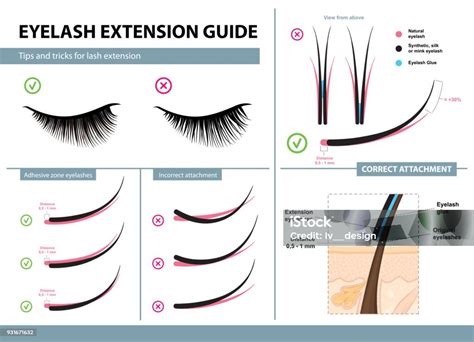 속눈썹 확장 가이드입니다 팁과 속눈썹 확장에 대 한 트릭 Infographic 벡터 일러스트입니다 정확 하 고 잘못 된 첨부 합니다 교육 포스터 속눈썹에 대한 스톡 벡터