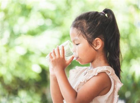 Short Term Disruption To Fluoride Dosing In Bundanoon Wingecarribee