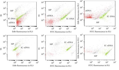 Figure 2 From Detection By Flow Cytometry Of Anti Dna Autoantibodies