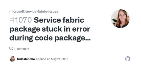 Service Fabric Package Stuck In Error During Code Package Activation
