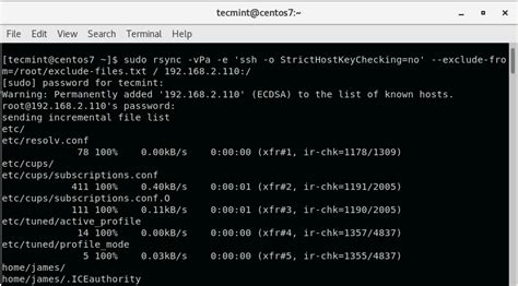 How To Clone A Centos Server With Rsync Knowledgebase Bigbox