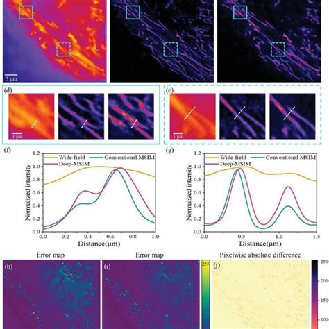 Comparison Of Conventional Msim And Deep‐msim On Simulated Data A Sum Download Scientific