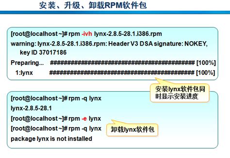 Dba之路 9 软件安装dba安装教程 Csdn博客