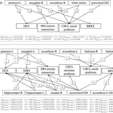 Voxel Based Morphometry Differences In Gray Matter Density Between Nf1 Download Scientific