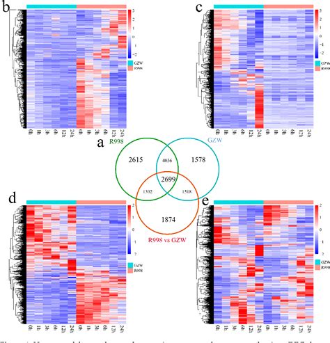 Figure 6 From Comparative Transcriptomic Analysis And Candidate Gene